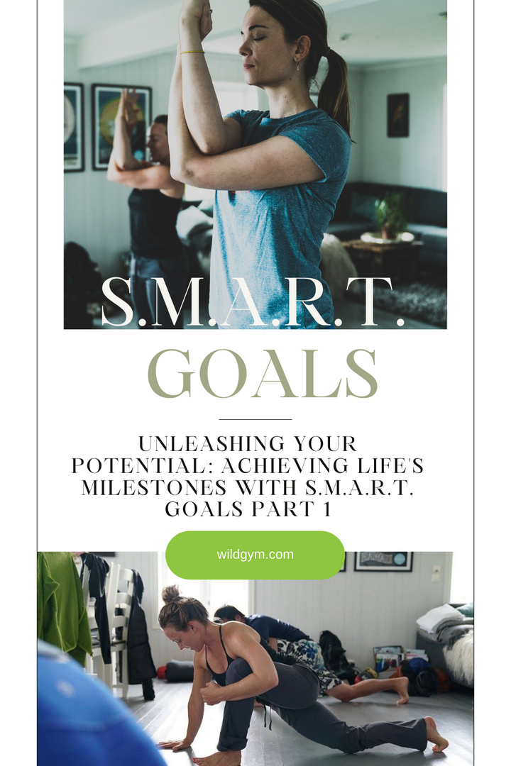 Achieving Life's Milestones with SMART Goals – wild gym