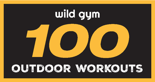 300 Challenge Patches – wild gym